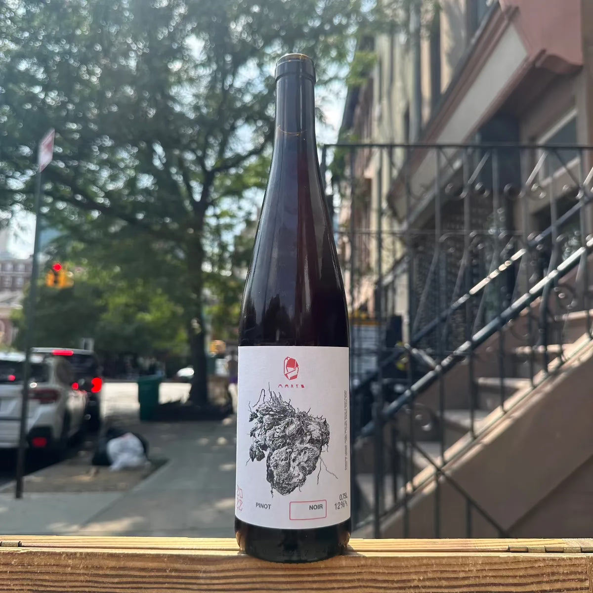 Marto, "Pinot Noir" 2022 – Thirst